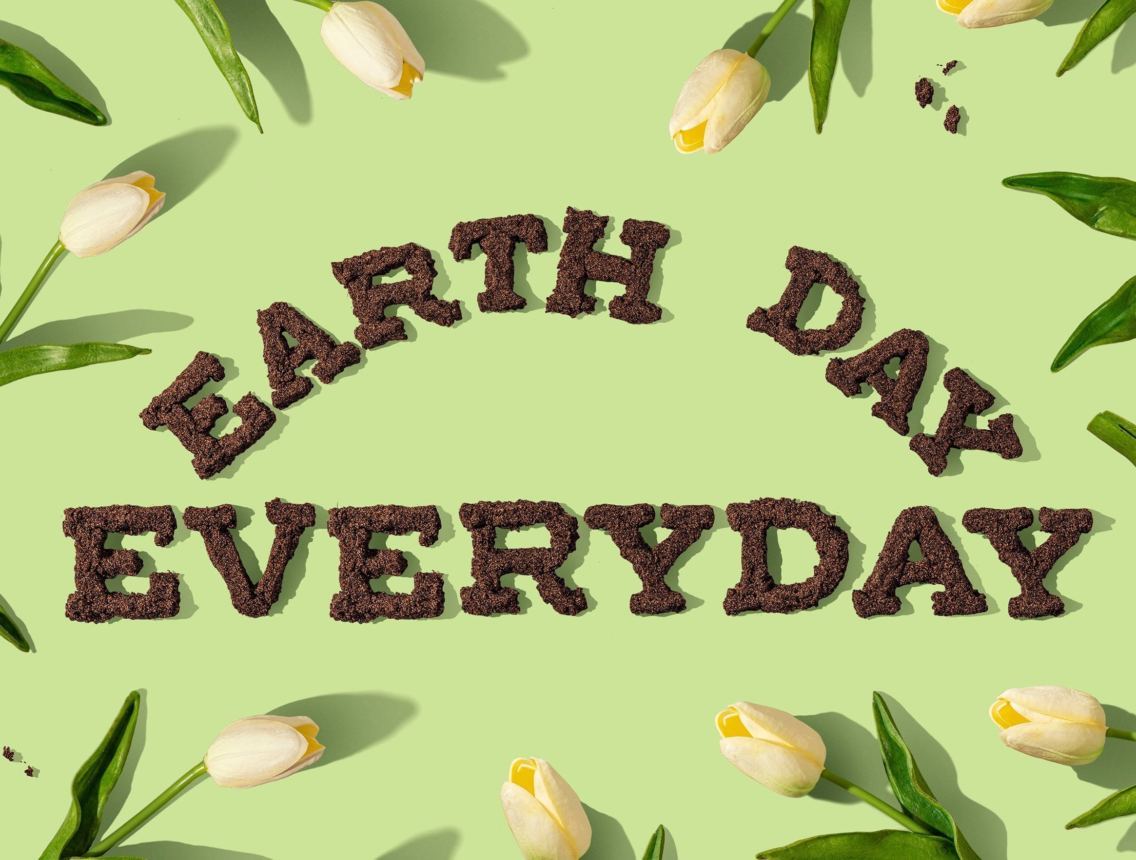 Earth Day, Energy Efficiency and ENASTAT – ENA Solution Inc